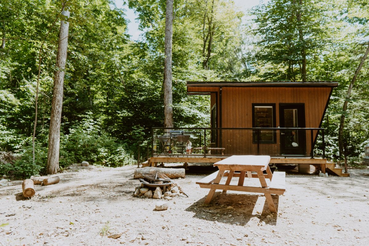 Pine Cabin – Cabinscape