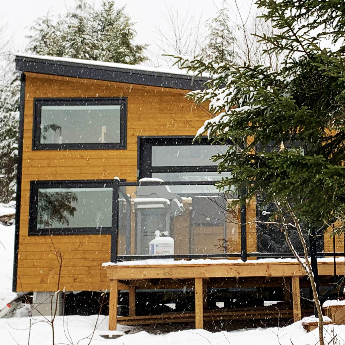 Bone Cabin – Cabinscape