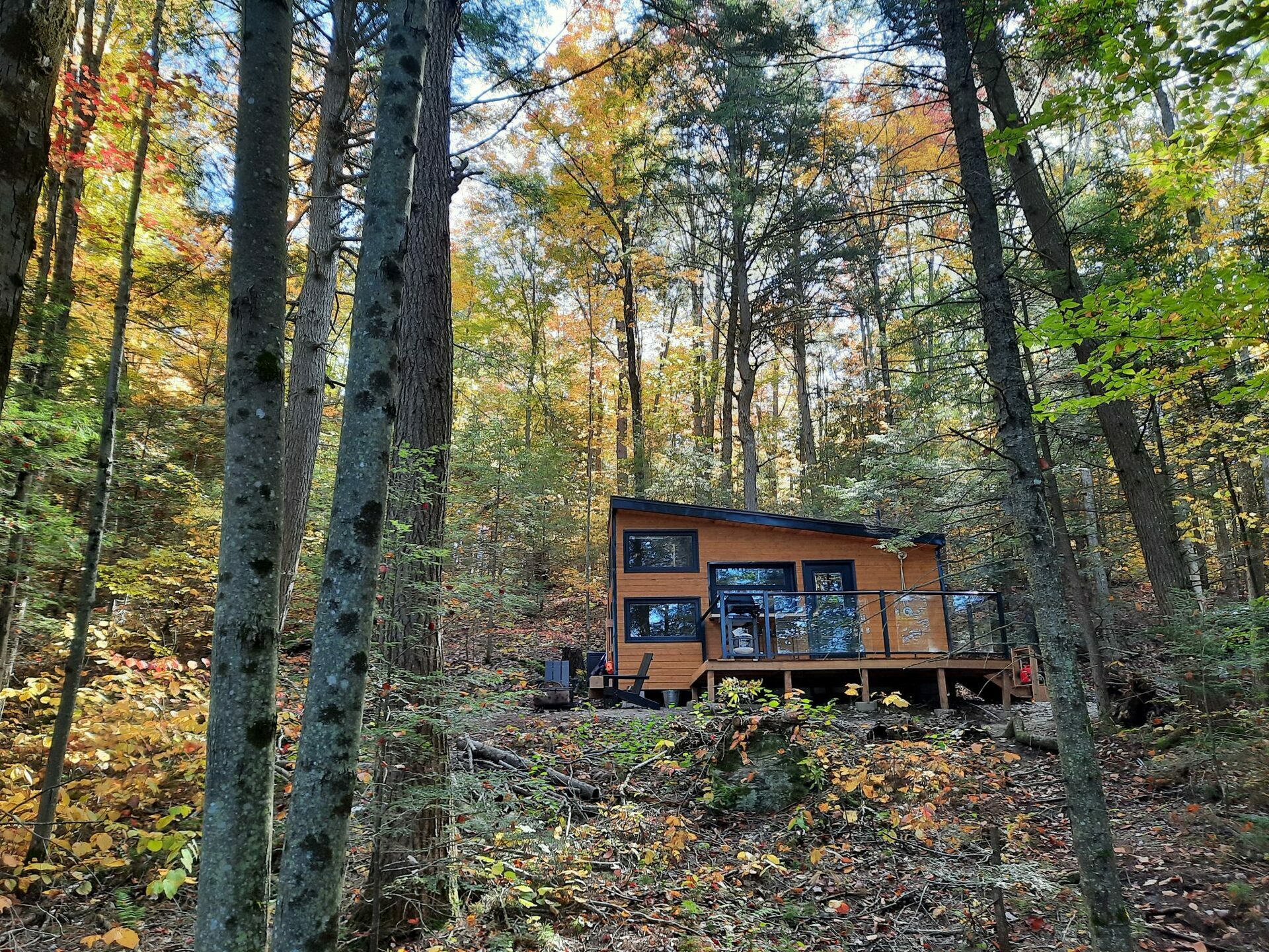 Joni Cabin – Cabinscape