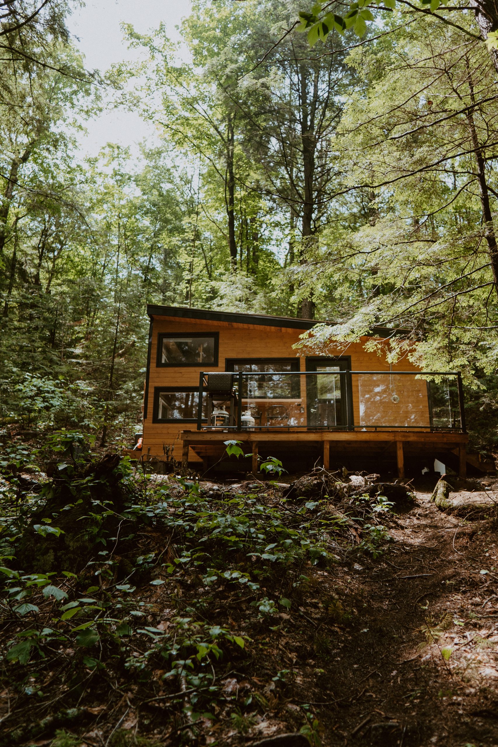 Willow Cabin – Cabinscape