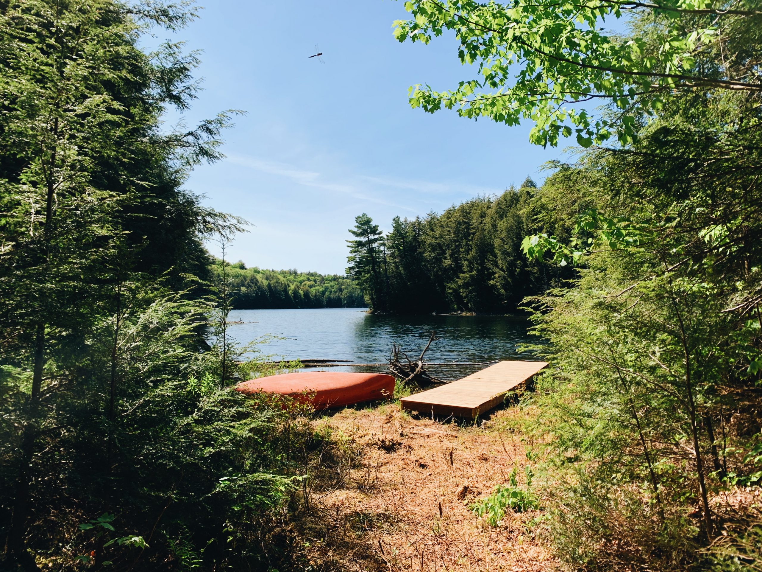 Cove Cabin – Cabinscape