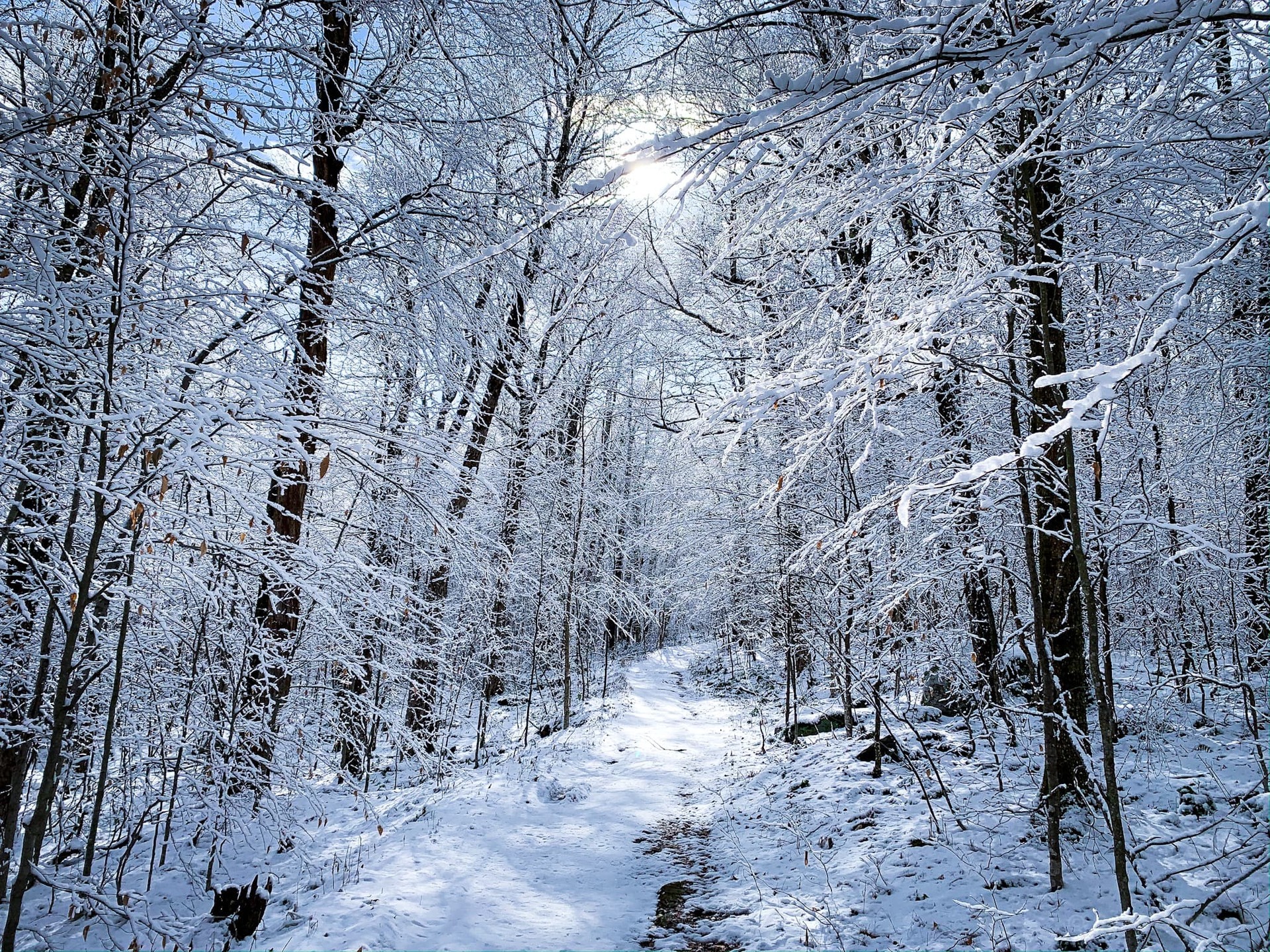 Our Kawarthas Winter Adventure Guide – Cabinscape