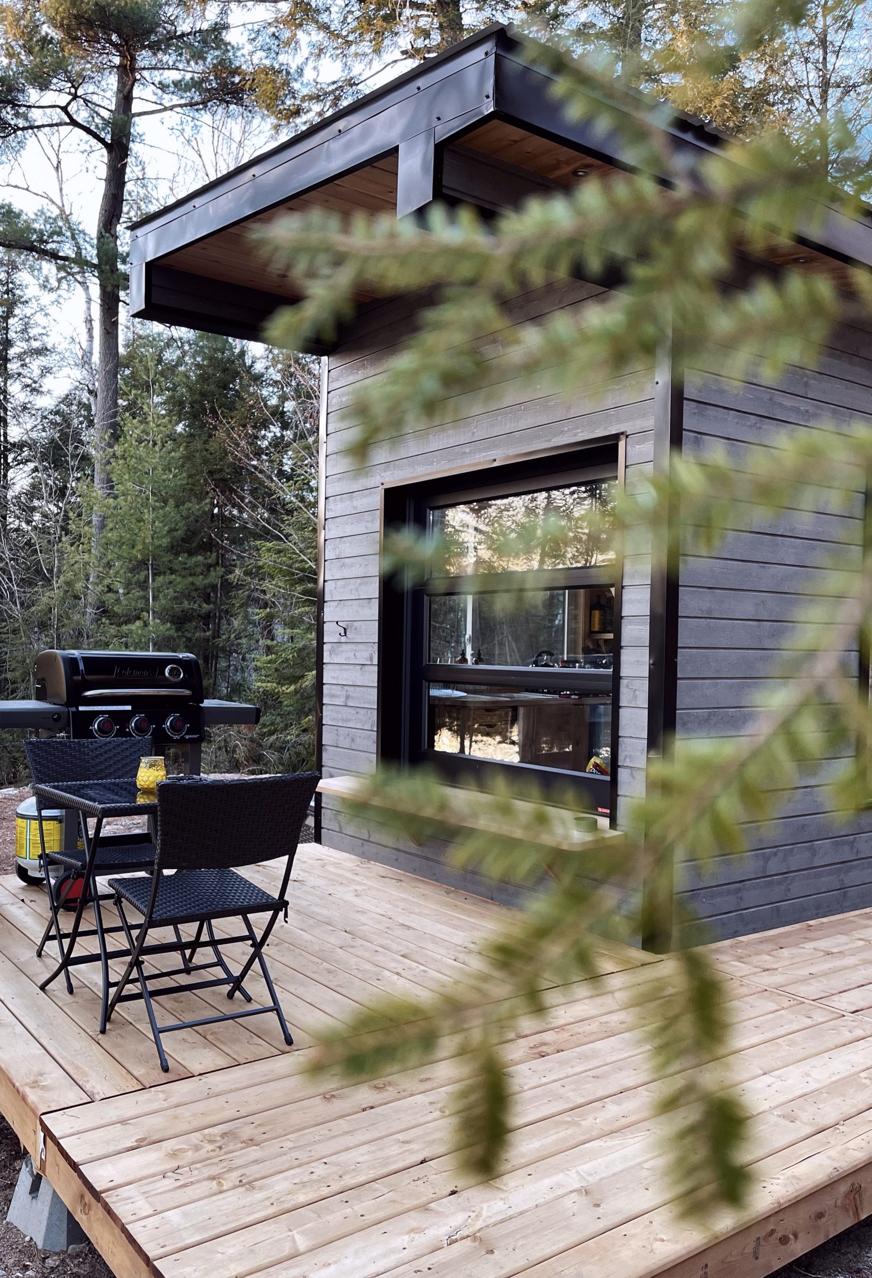 Remoteness Levels – Cabinscape