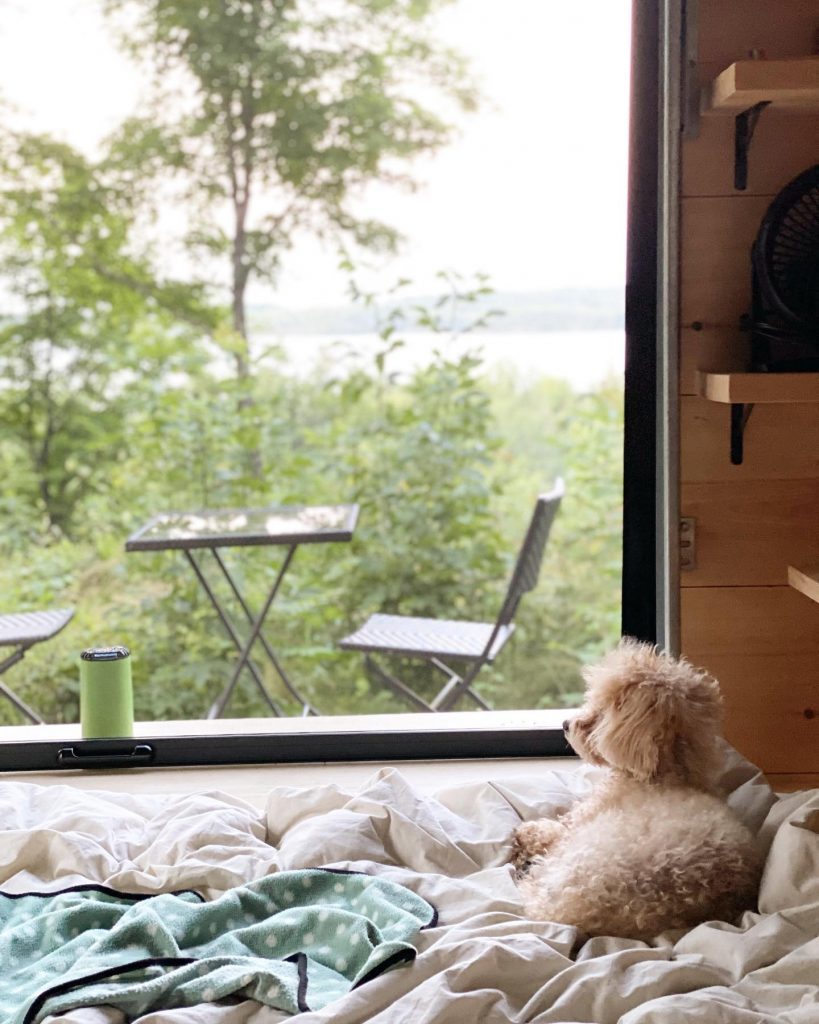 Pet-friendly Tiny Cabin Adventures – Cabinscape
