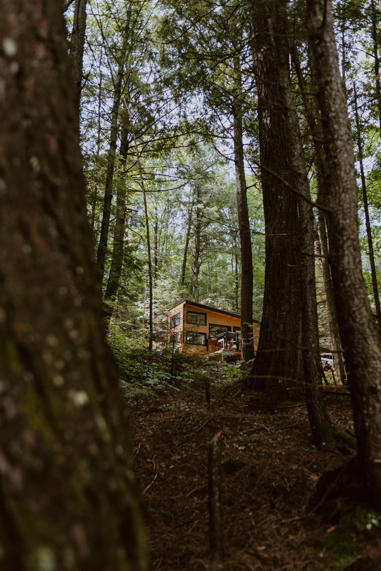 Every Day is Earth Day – Cabinscape