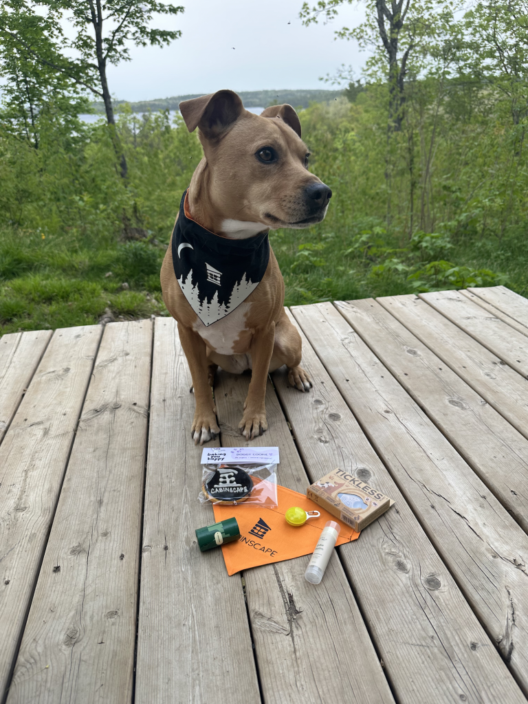 Adventure Pup Kit – Cabinscape