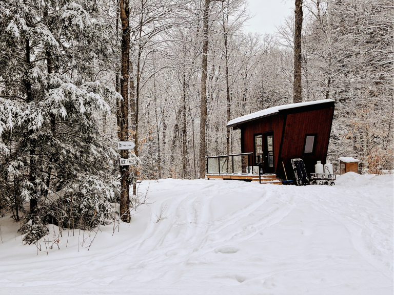 Pine Cabin – Cabinscape