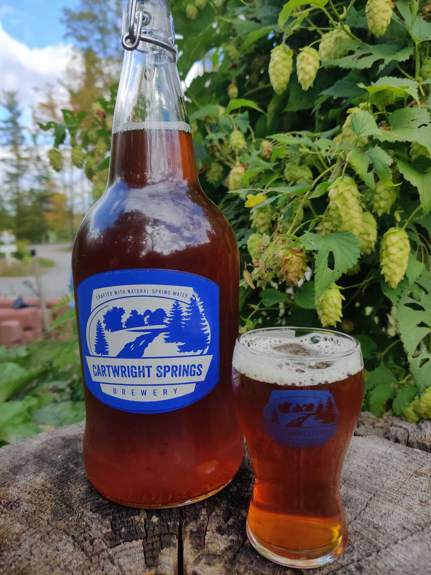 Ontario Maple Season Guide – Cabinscape