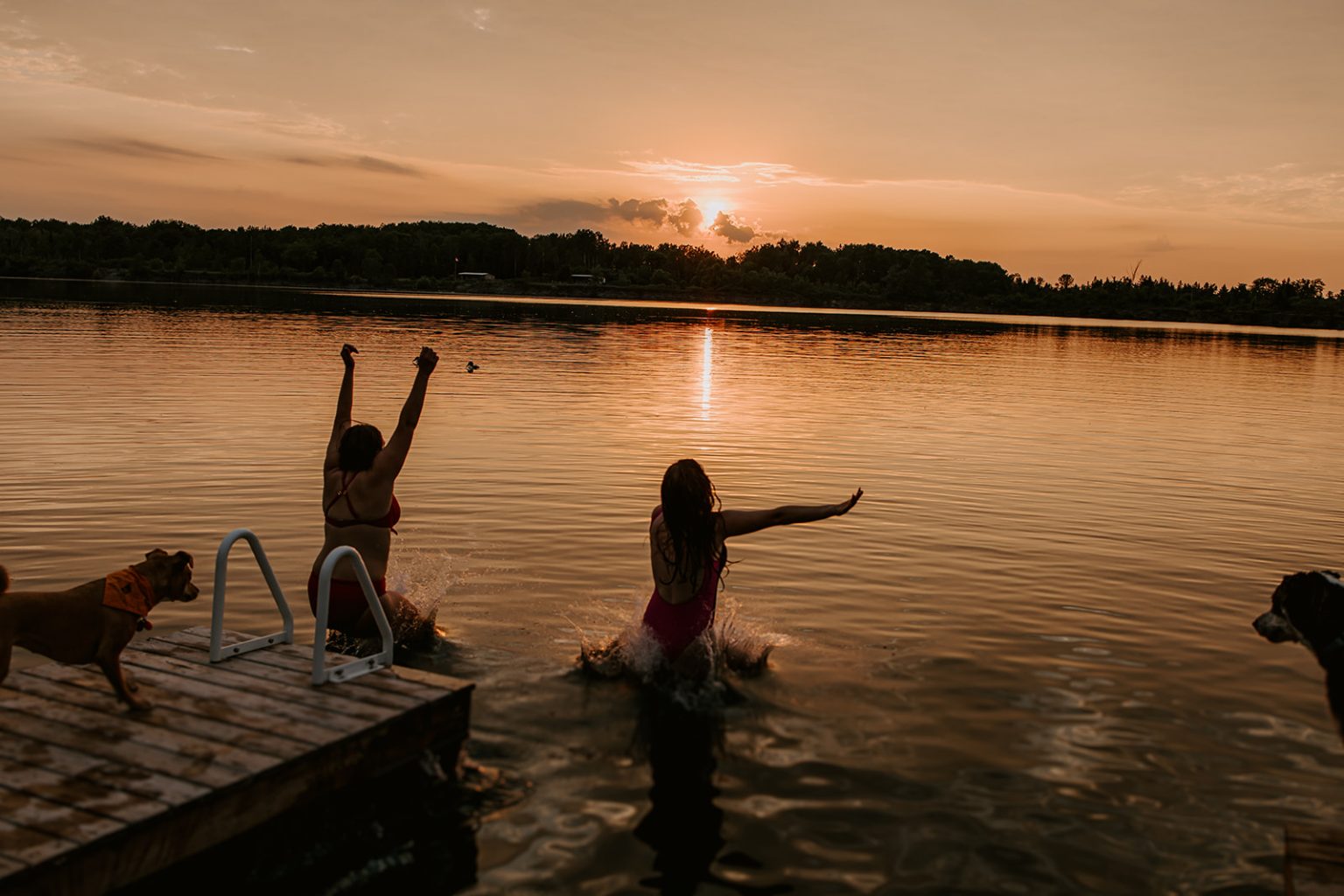 Our Guide to the Best Swimming Spots – Cabinscape