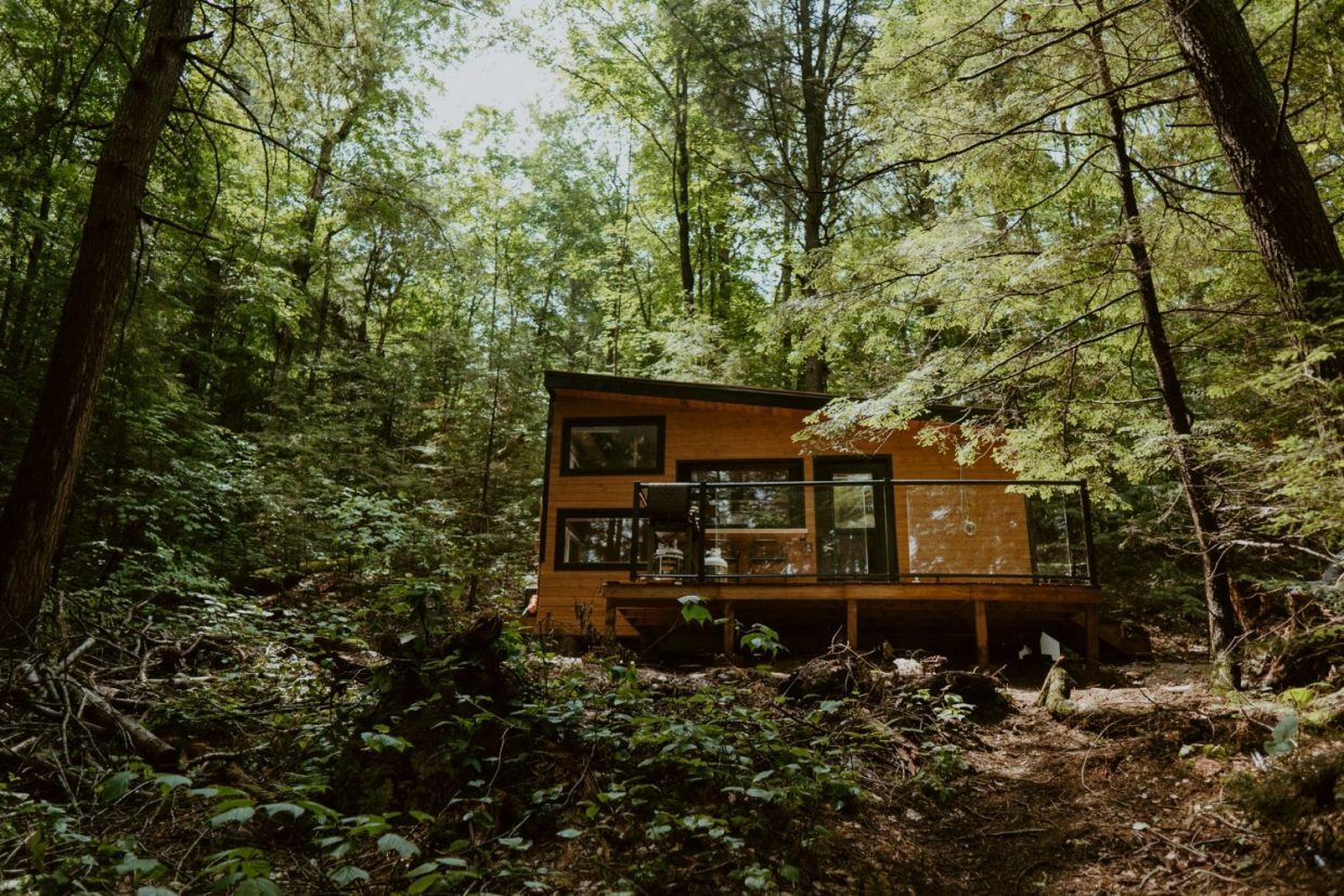 Willow Cabin – Cabinscape