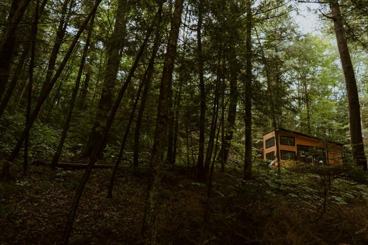 Willow Cabin – Cabinscape